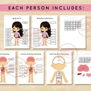 Body Parts & Human Anatomy Matching Puzzle Worksheets Girl Boy Learning ...