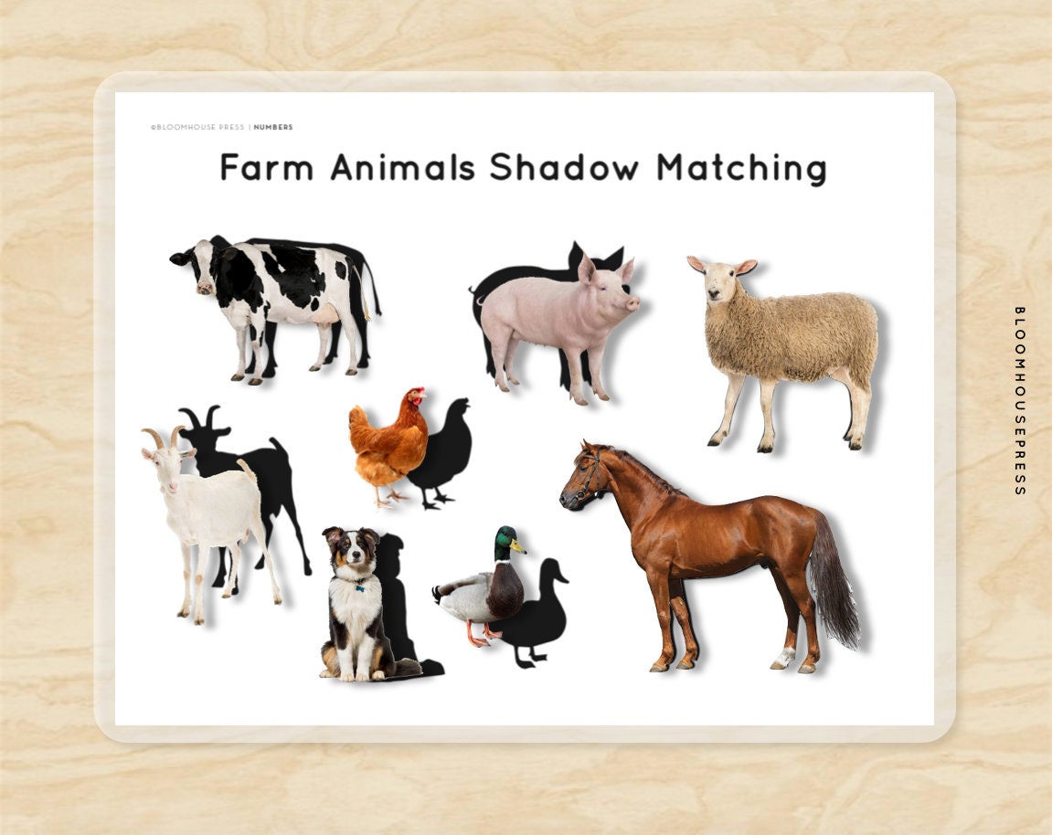 Farm Animals Shadow Silhouette Matching Worksheet & Cards - Etsy