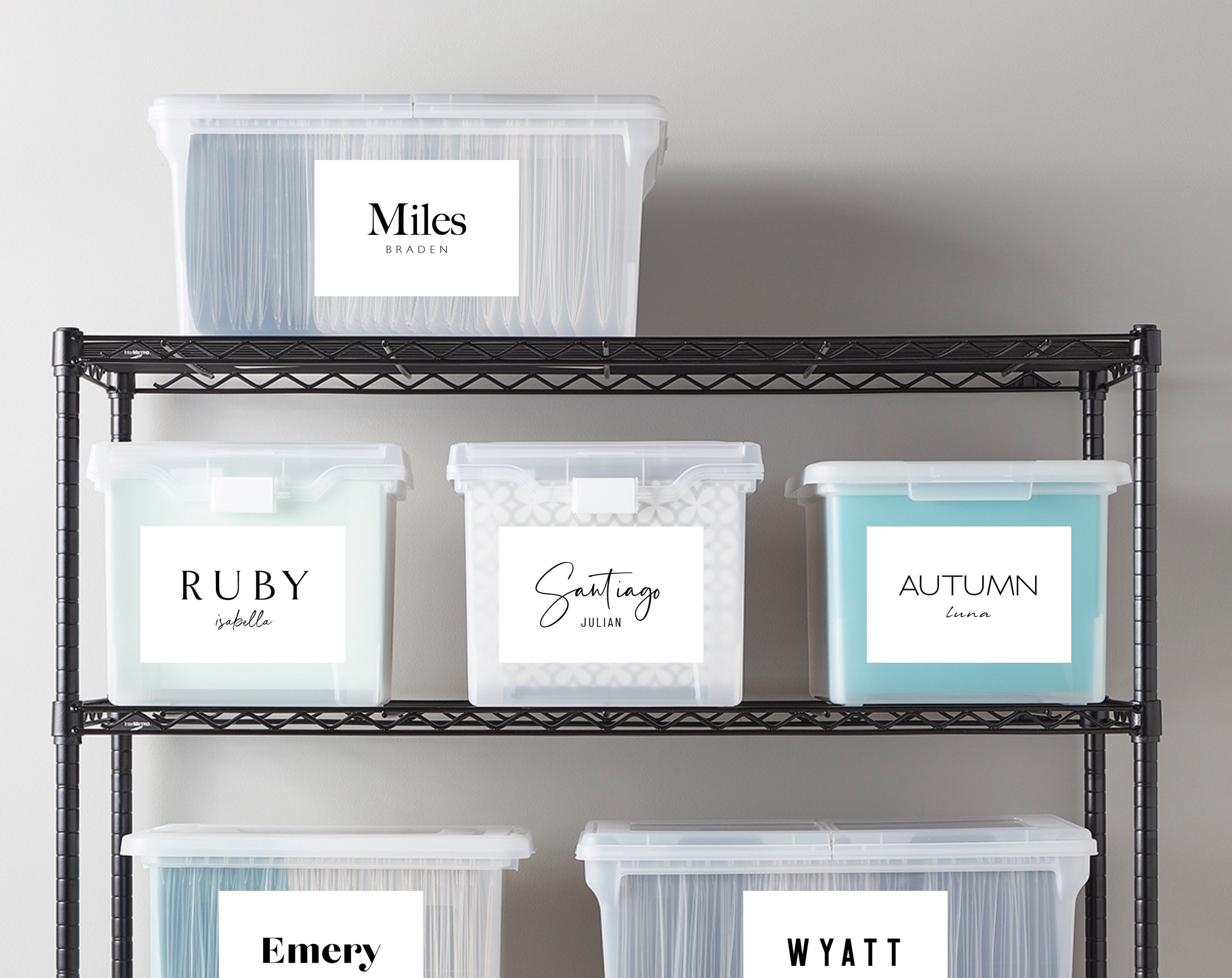 Printable Labels Filing System Milestone File Tab Organization - Etsy ...