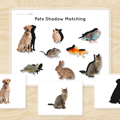 Farm Animals Shadow Silhouette Matching Worksheet & Cards - Etsy