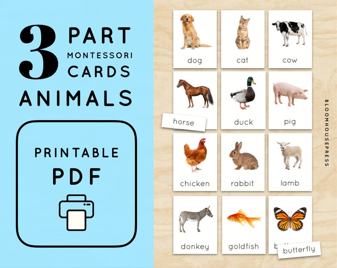 Montessori Animals 3 Part Cards Vocabulary 24 Animals Flashcards ...