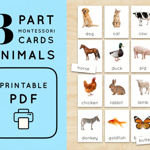 Montessori Animals 3 Part Cards Vocabulary 24 Animals - Etsy