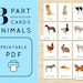 Montessori Animals 3 Part Cards Vocabulary 24 Animals | Etsy