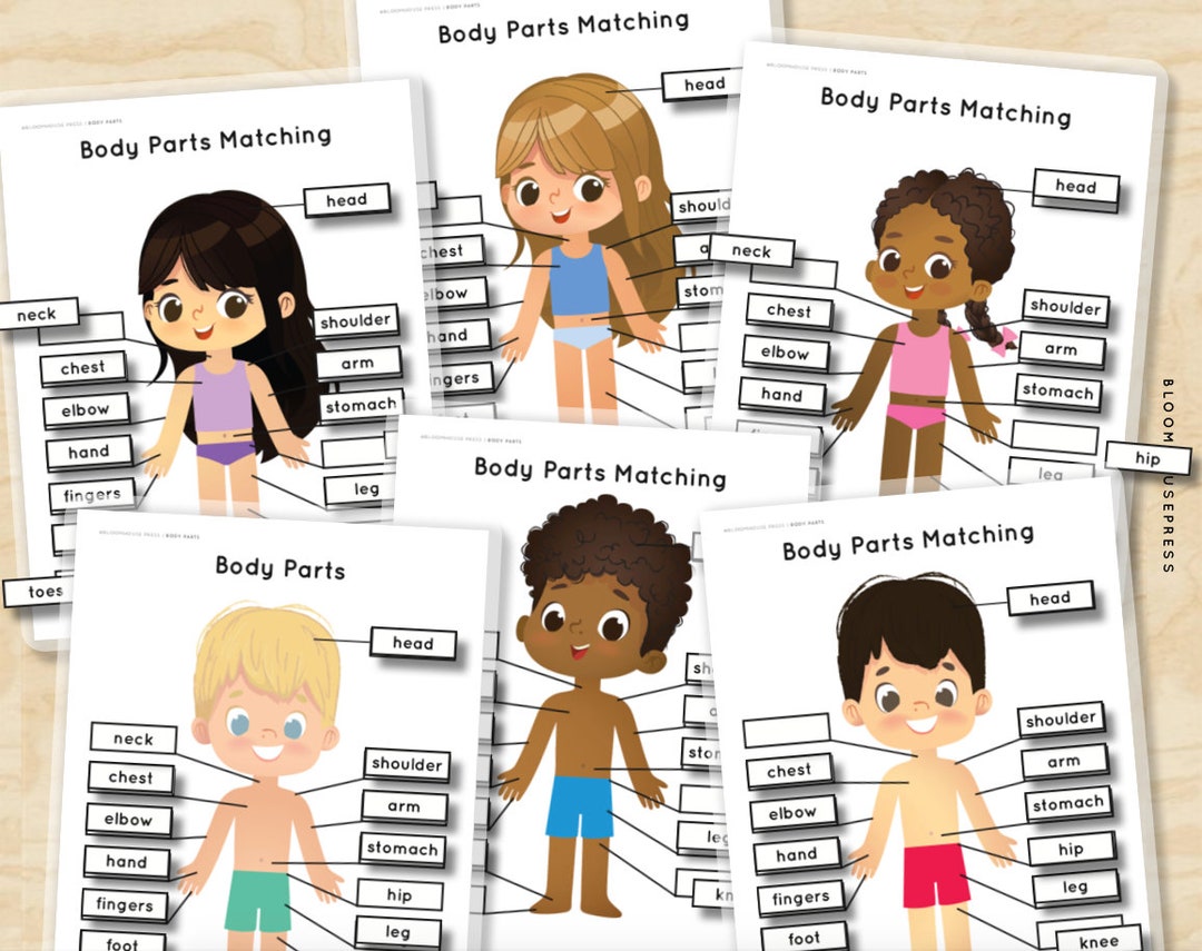 Body Parts & Human Anatomy Matching Puzzle Worksheets Girl Boy Learning ...
