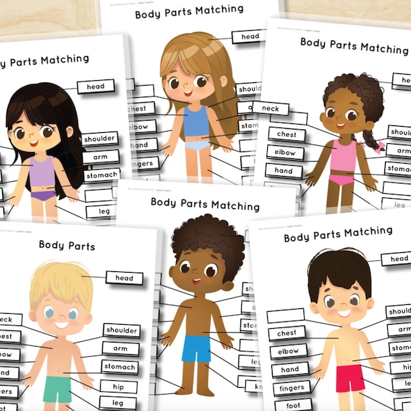 Human Body Puzzle - Etsy