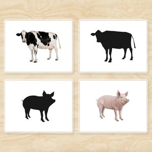 Farm Animals Shadow Silhouette Matching Worksheet & Cards Visual ...