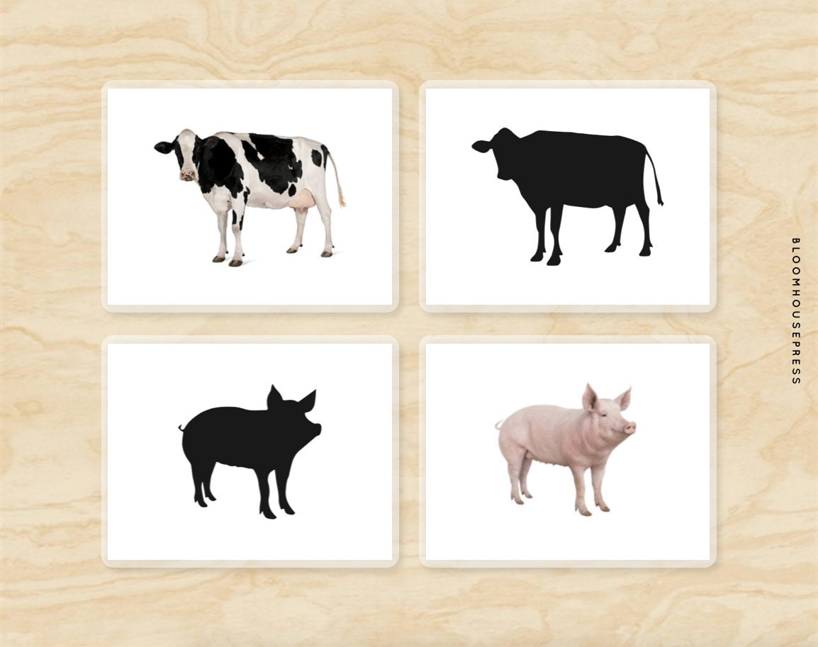 Farm Animals Shadow Silhouette Matching Worksheet & Cards | Etsy