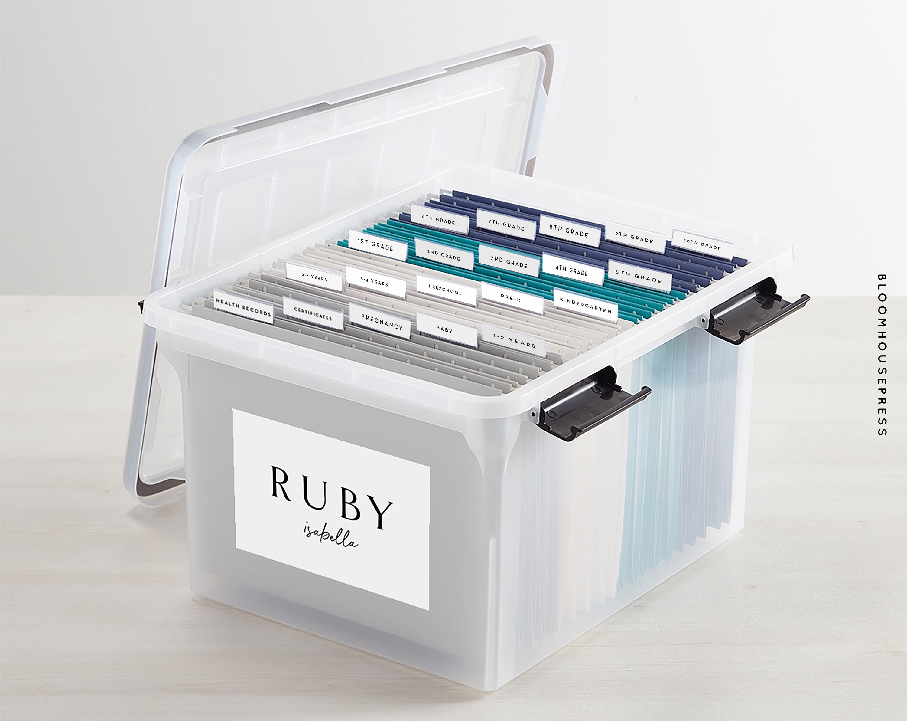 Printable Labels Filing System Milestone File Tab Organization - Etsy ...