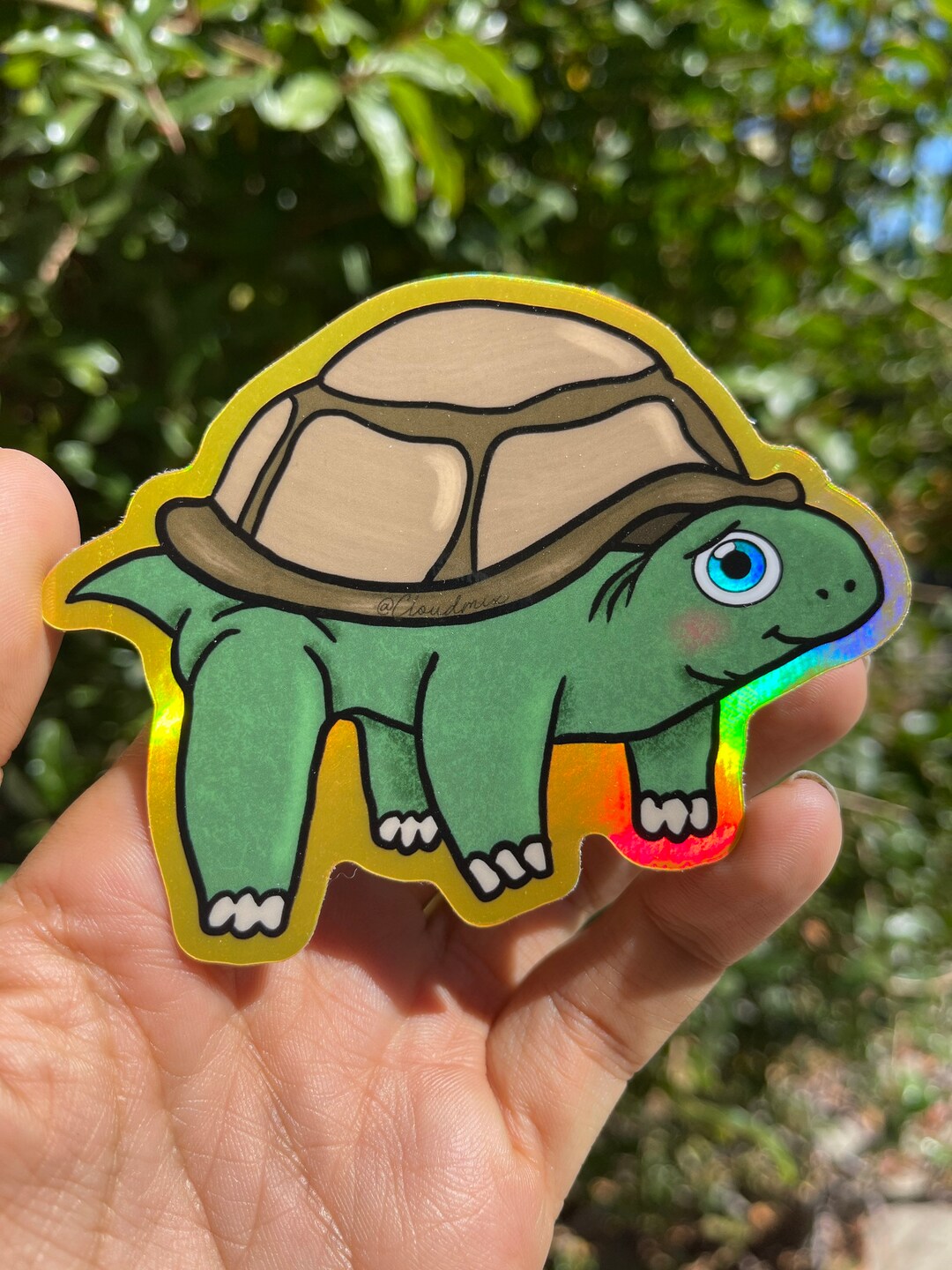 Tortoise Holographic Vinyl Sticker - Etsy