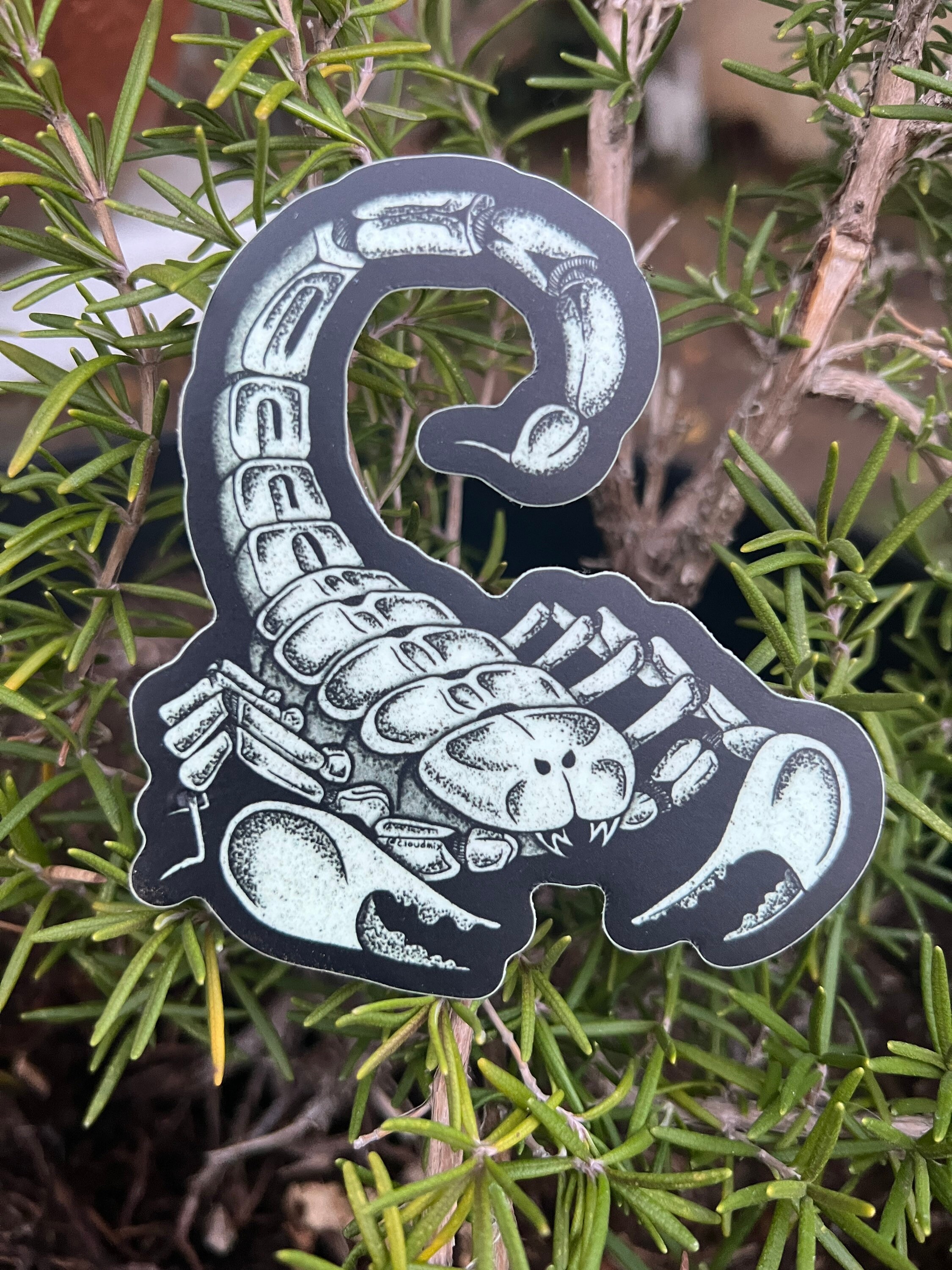 Scorpion Glow-in-the-dark Vinyl Sticker - Etsy