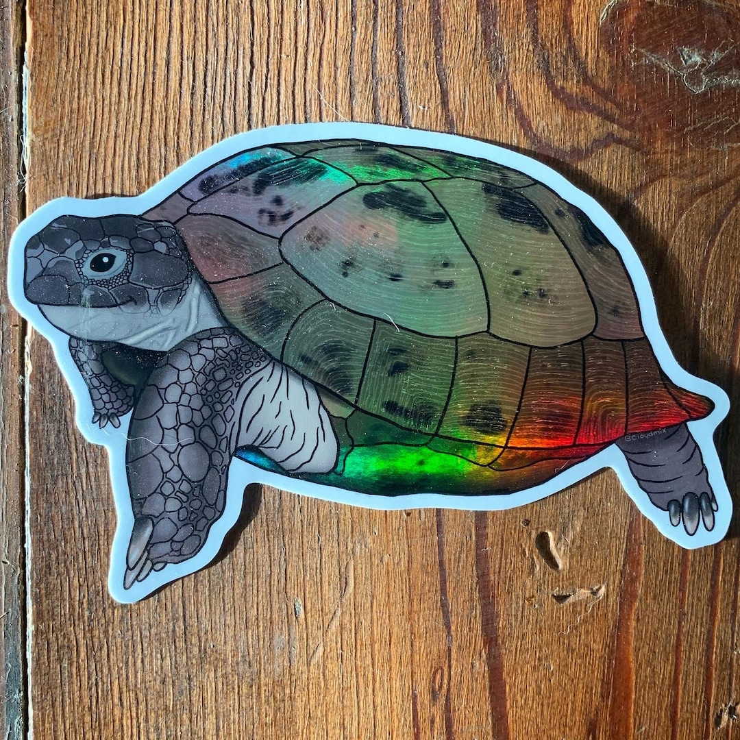 Tortoise Holographic Vinyl Sticker - Etsy