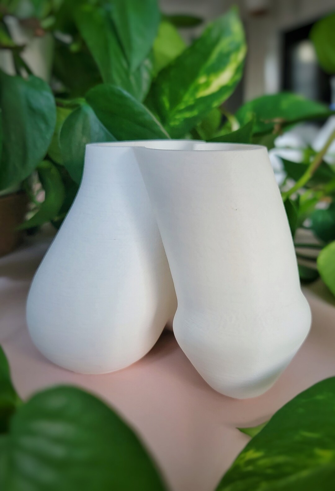 Penis Pot, Cock Put, Male Planter - Etsy