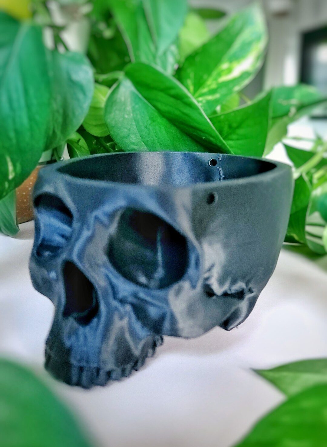 Skull Planter, Hanging Skull Planter, Skull Bowl Planter - Etsy