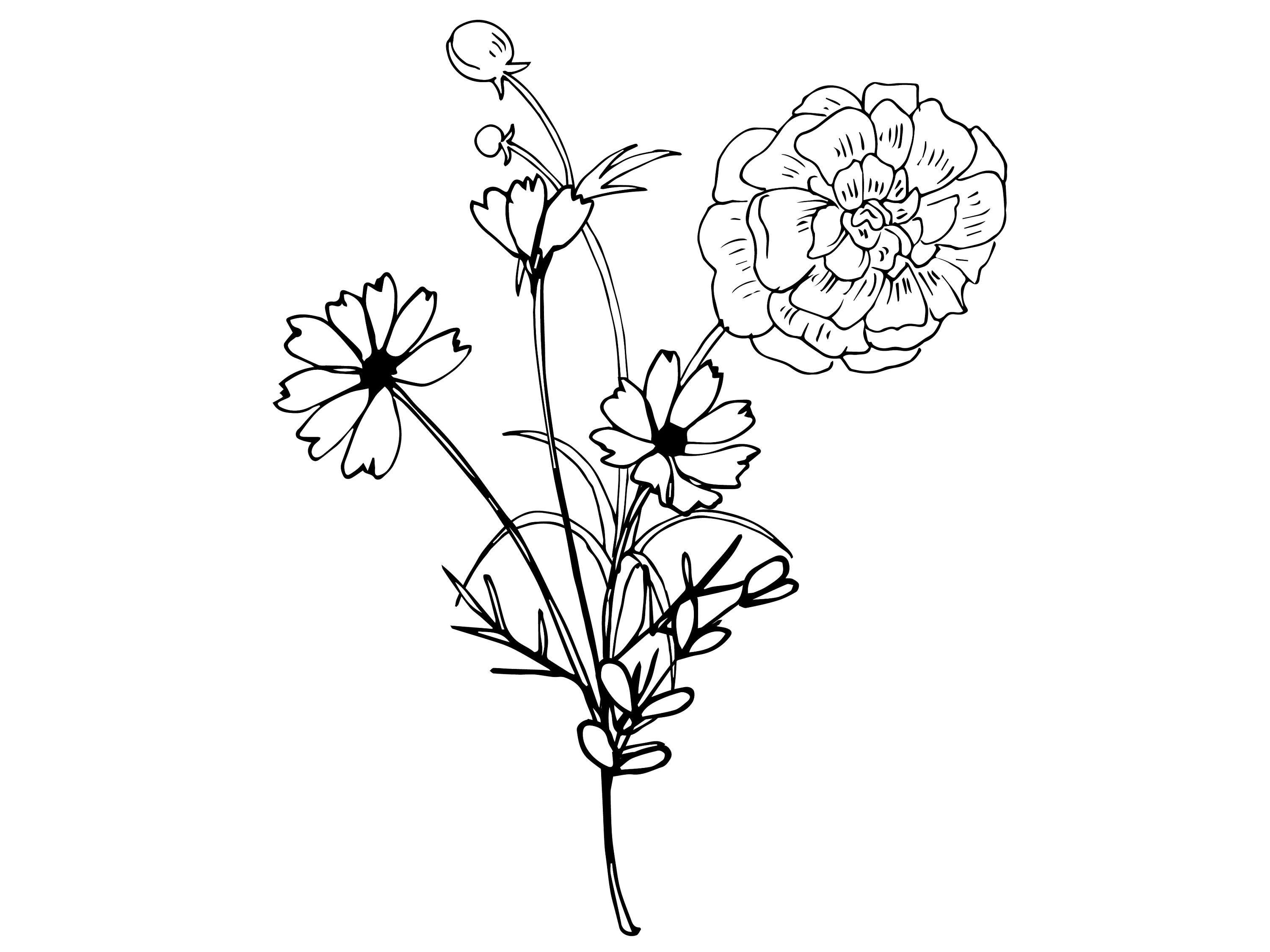 Line Drawings Of Vintage Flowers