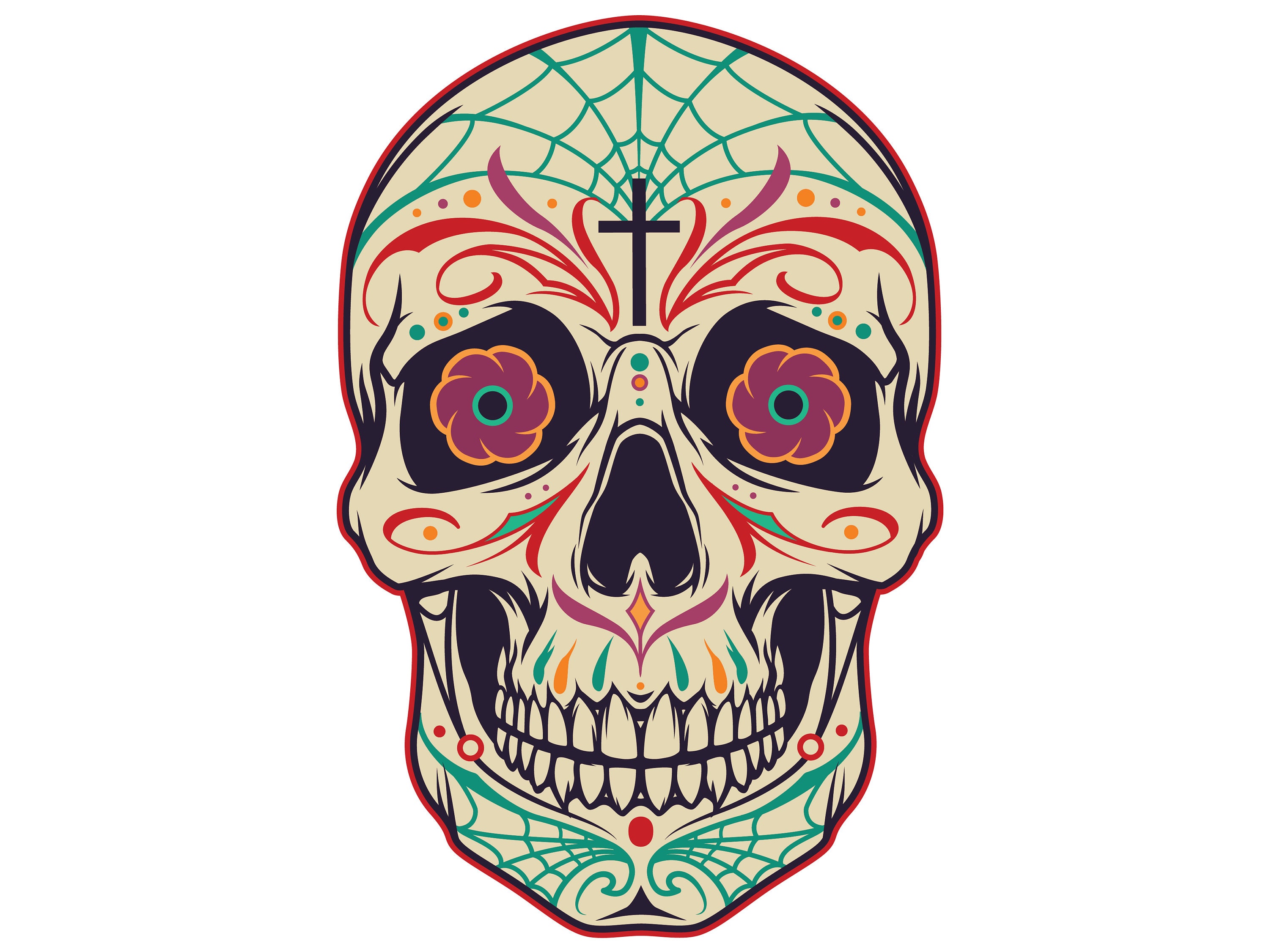 Spider Web And Skull Drawings