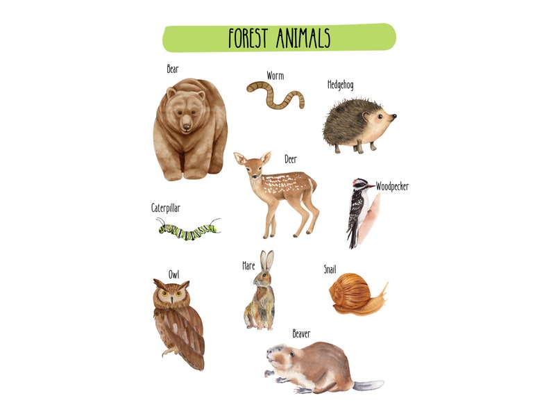 Enchanting Forest Animal Printable Set Adorable for Nature-loving ...