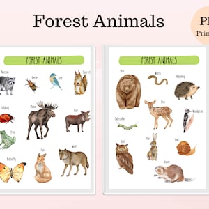 Enchanting Forest Animal Printable Set Adorable for Nature-loving ...