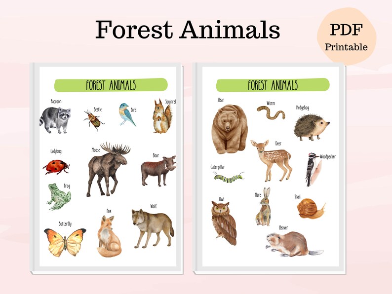 Enchanting Forest Animal Printable Set Adorable for Nature-loving ...