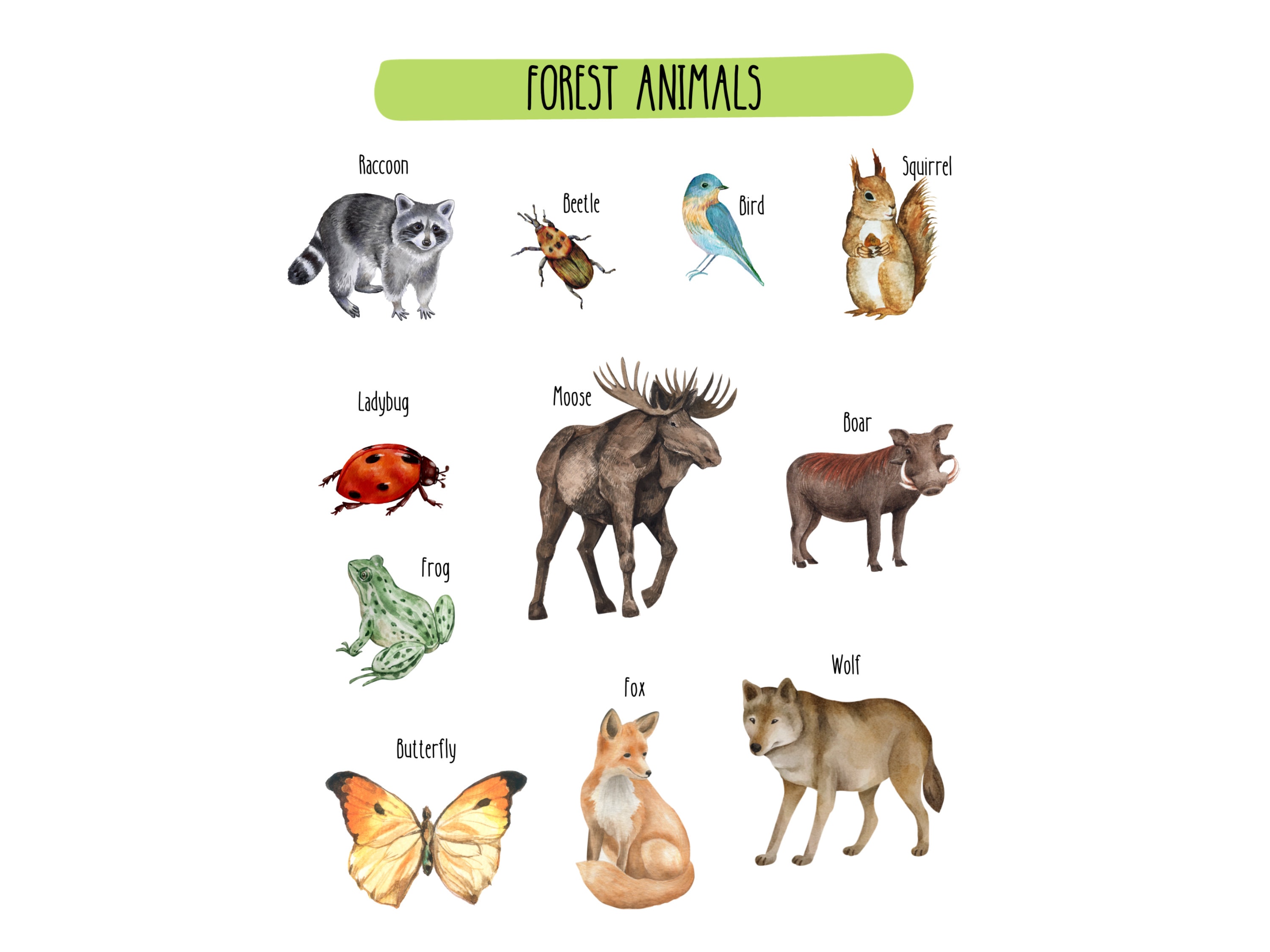 Enchanting Forest Animal Printable Set Adorable for Nature-loving ...
