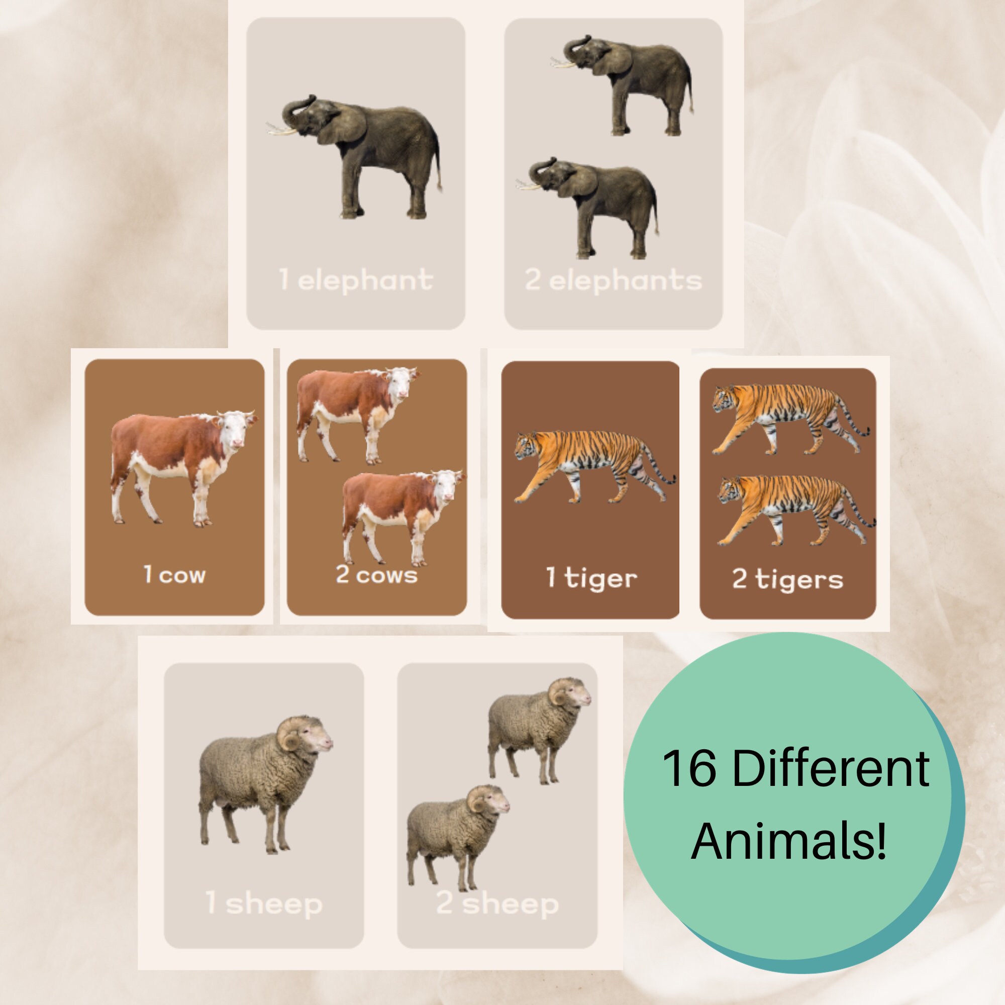 Learn to Count to 2 With Plural Animals Plural Animal - Etsy