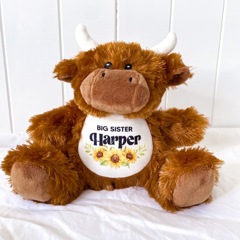Personalised Highland Cow Big Sibling Gift Your Name Teddy - Etsy