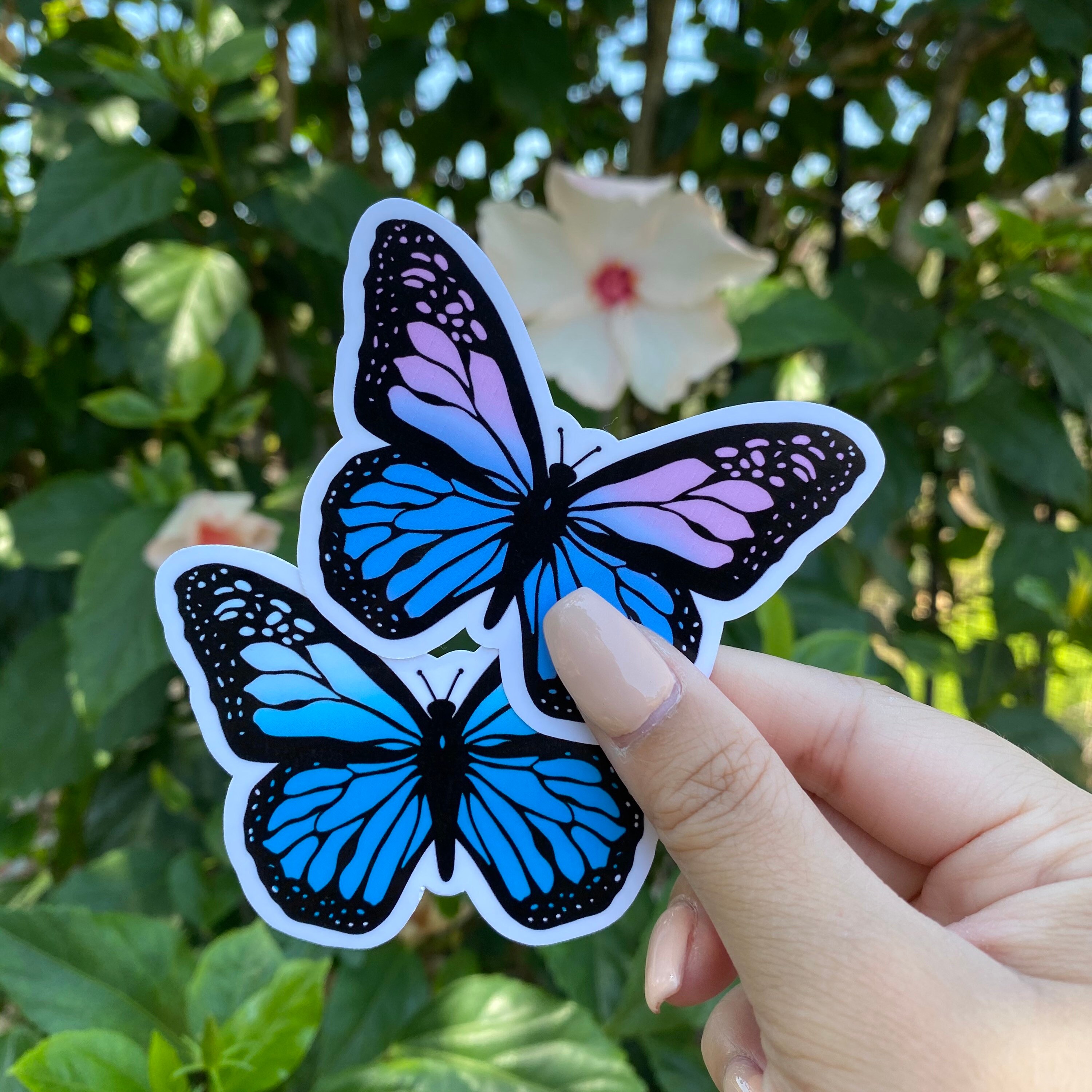 Butterfly Sticker Waterproof Ombre - Etsy