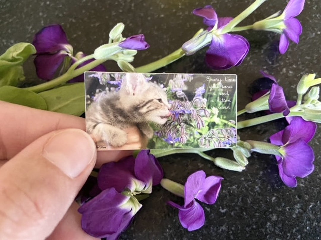 Sow a Seed Sticker - Etsy