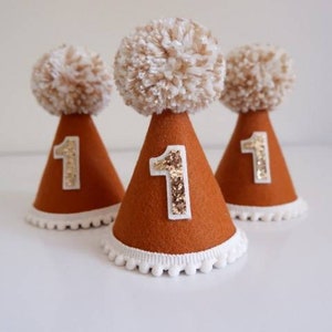 Rust Birthday Hat Rust Party Hat First Birthday Birthday - Etsy