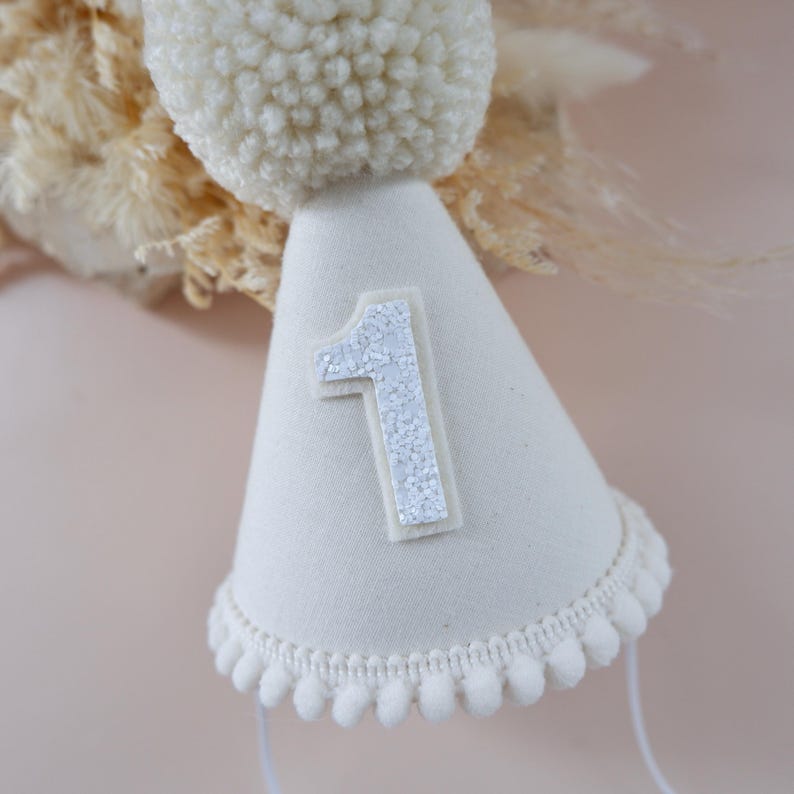 Neutral Party Hat - Neutral Birthday Hat - Birthday Party Hat - Party ...