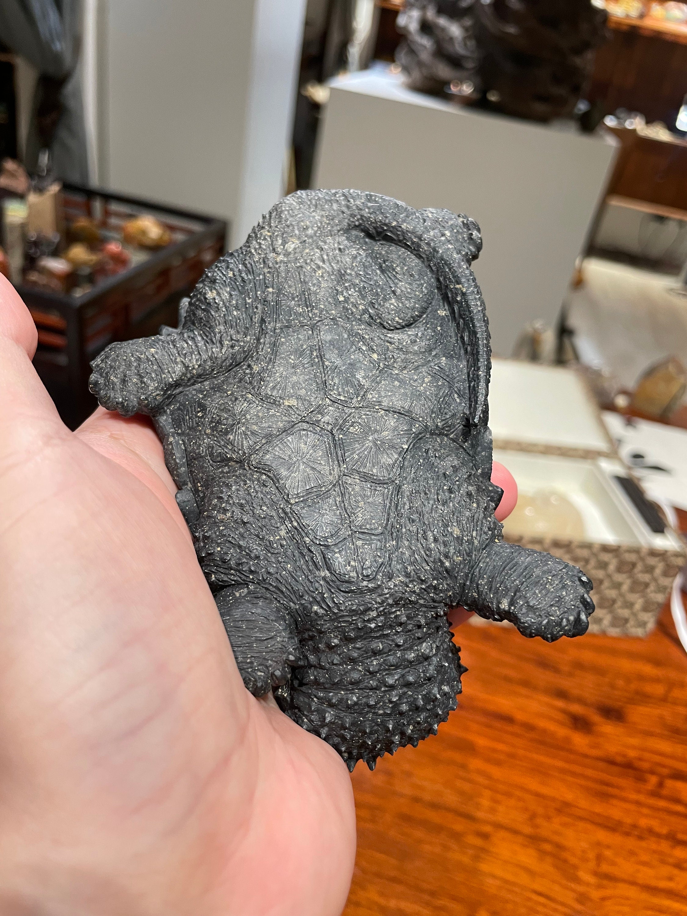 Macroclemys Temminckii / Alligator Snapping Turtle Handmade - Etsy