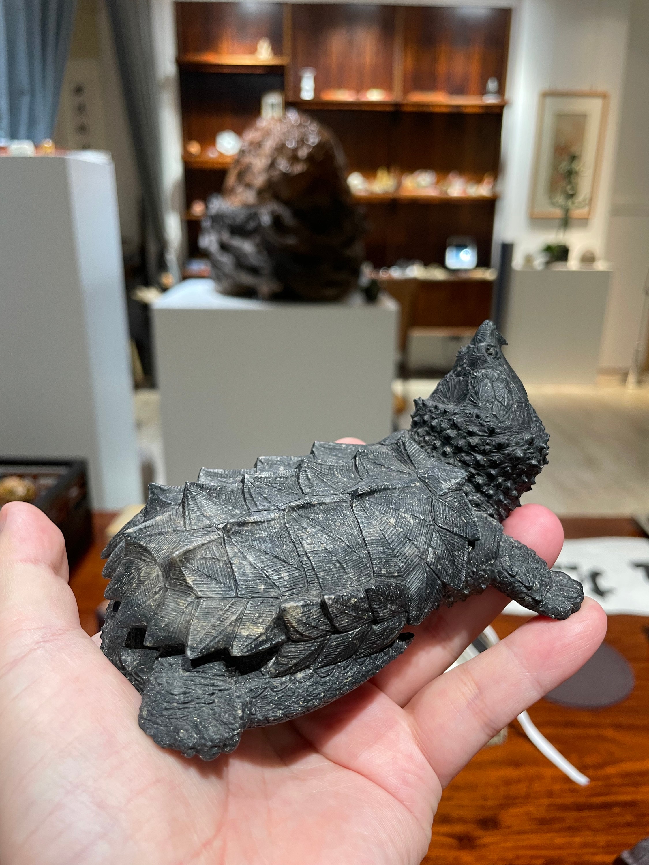 Macroclemys Temminckii / Alligator Snapping Turtle Handmade - Etsy