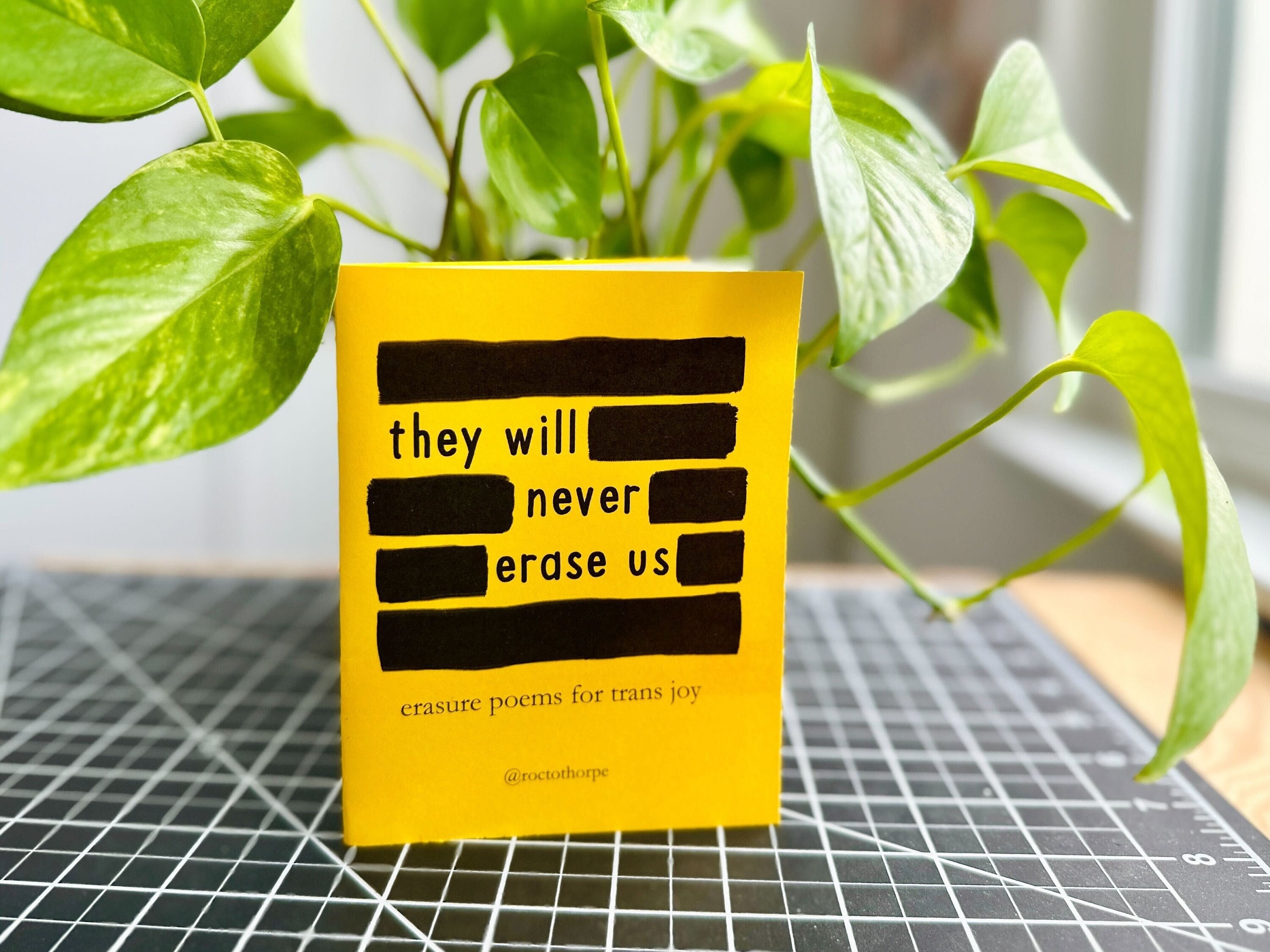 They Will Never Erase Us - a Zine of Erasure Poems for Trans Joy ...