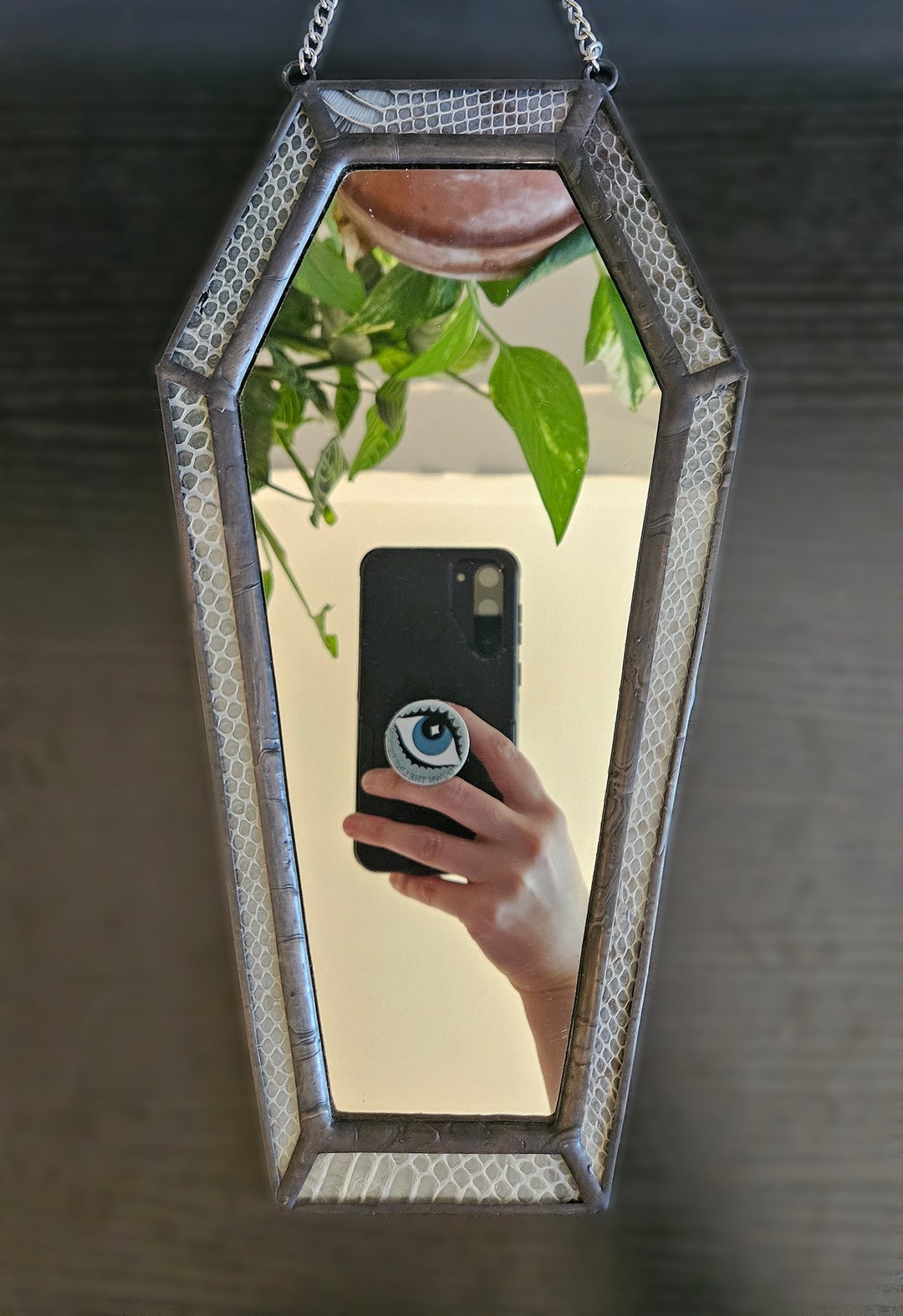 Snake Skin Coffin Mirror - Etsy