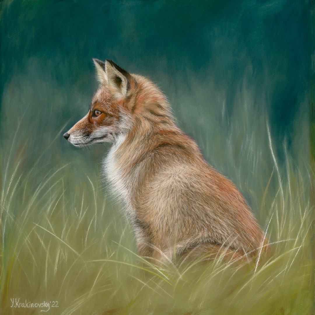 RED FOX - Original Art Print - Etsy