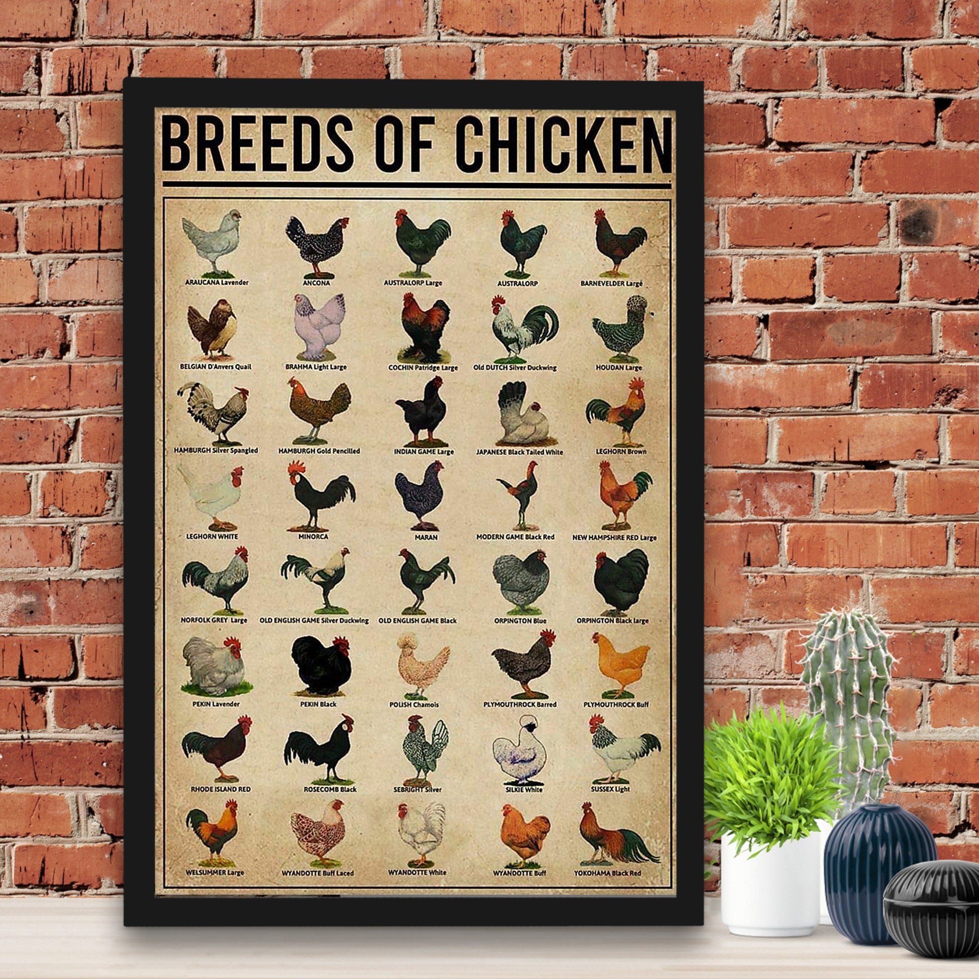 Breeds Of Chicken Vintage Farmer Poster No Frame / Chicken | Etsy