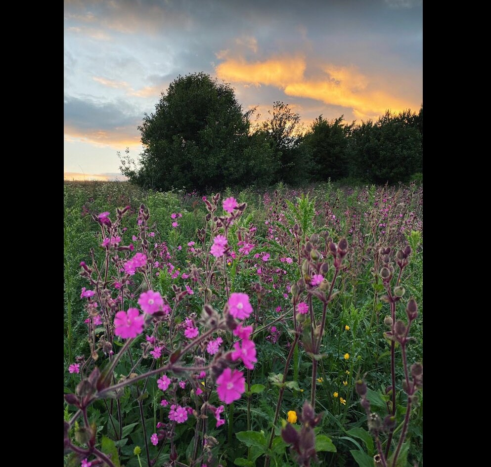 Holy, Holy, Holy (arr. for Cello & Piano by David S. Abramsky) - Etsy