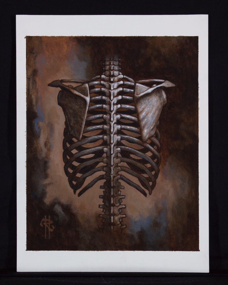 Original Painting of Rib Cage- Posterior View 8"x10" - Etsy