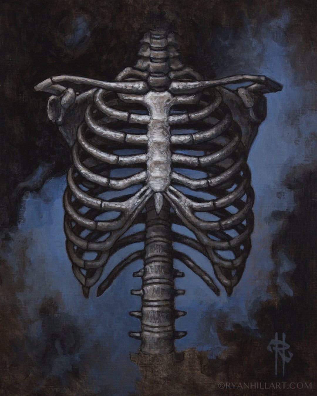Original Painting of Rib Cage- Anterior View 8"x10" - Etsy