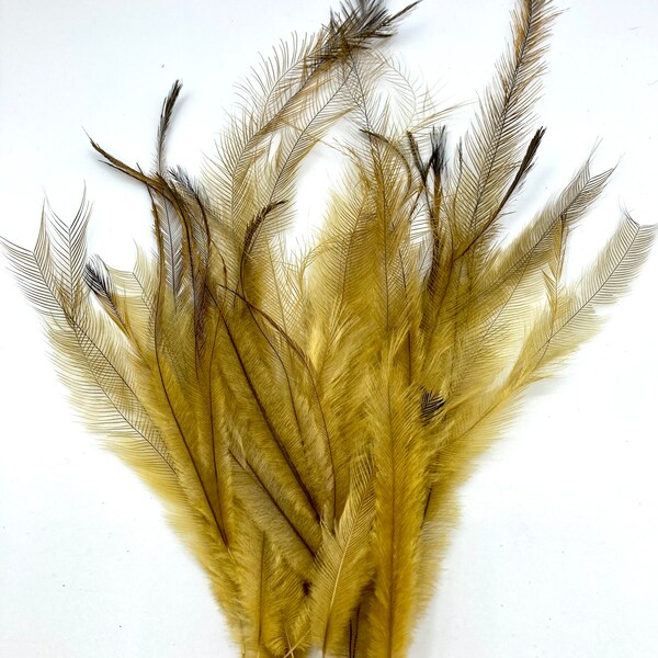 Emu Feathers - Etsy