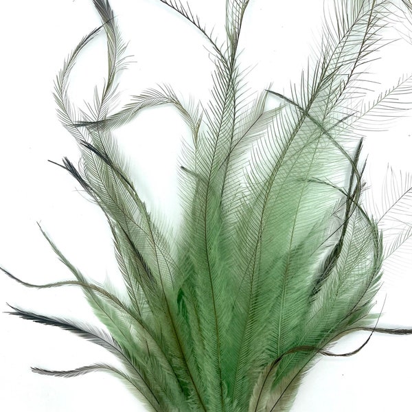 Emu Feathers - Etsy