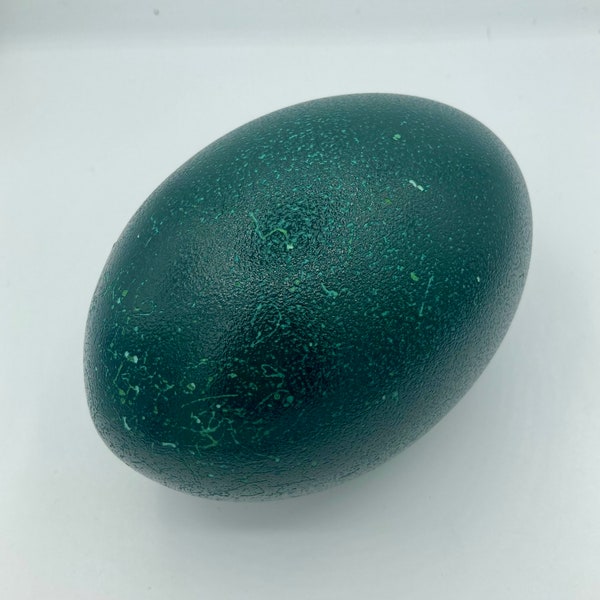 Emu Egg - Etsy