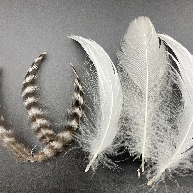 Hen Feathers - Etsy