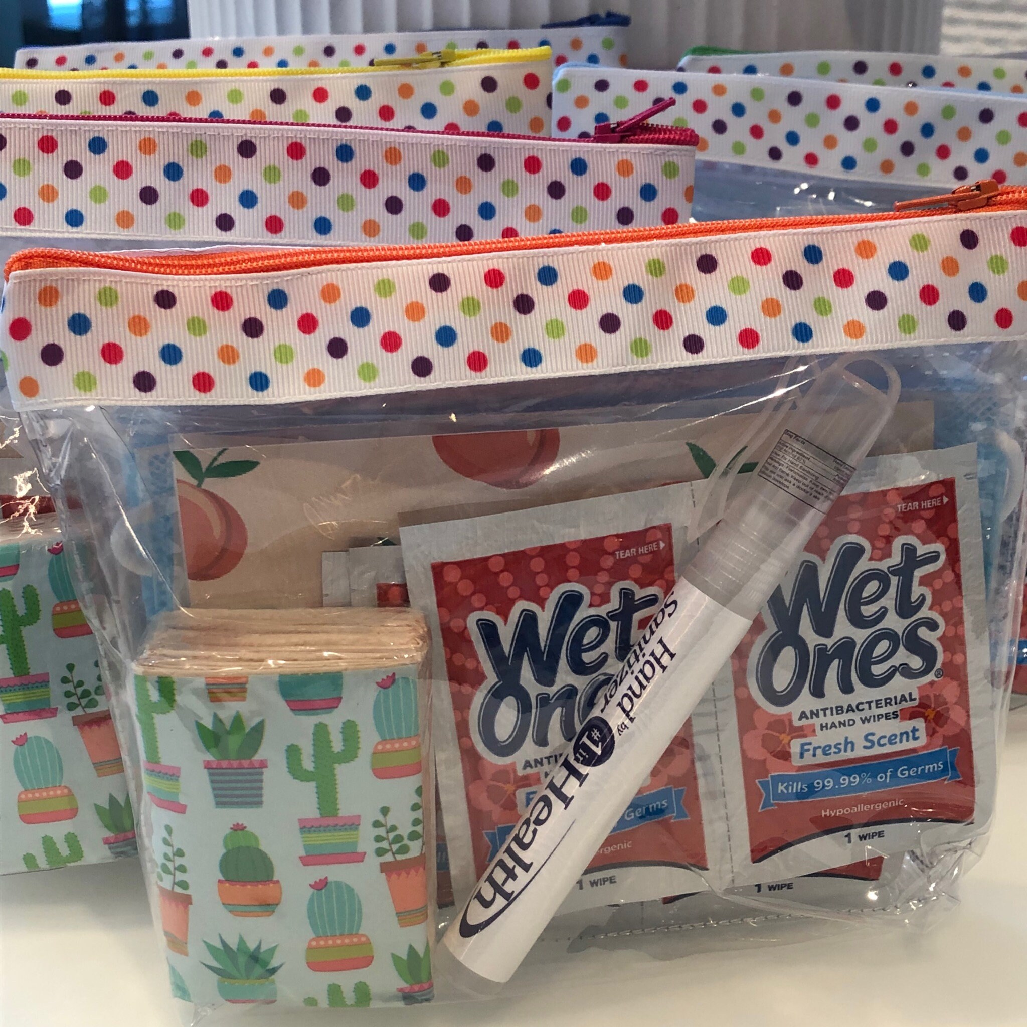 Essential Care Kit, Travel Kit, Clear Pouch, Handmade, Essential Kit ...