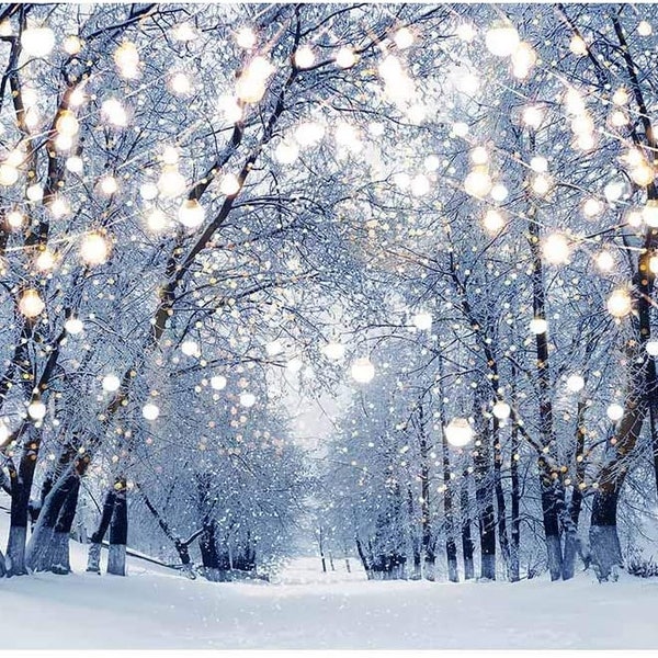 Winter Backdrop - Etsy