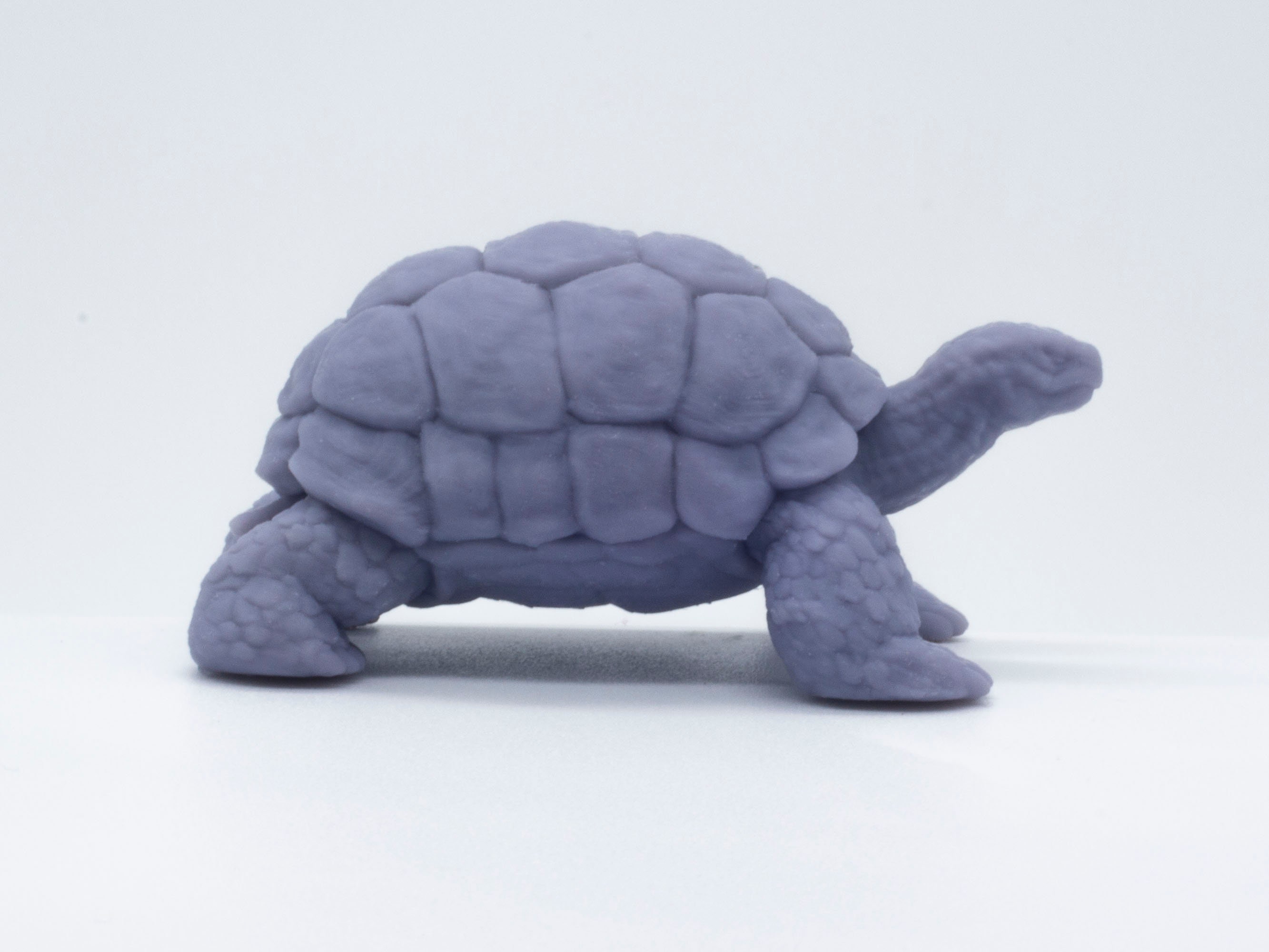 Terry the Terrestrial Tortoise Miniature Tabletop - Etsy