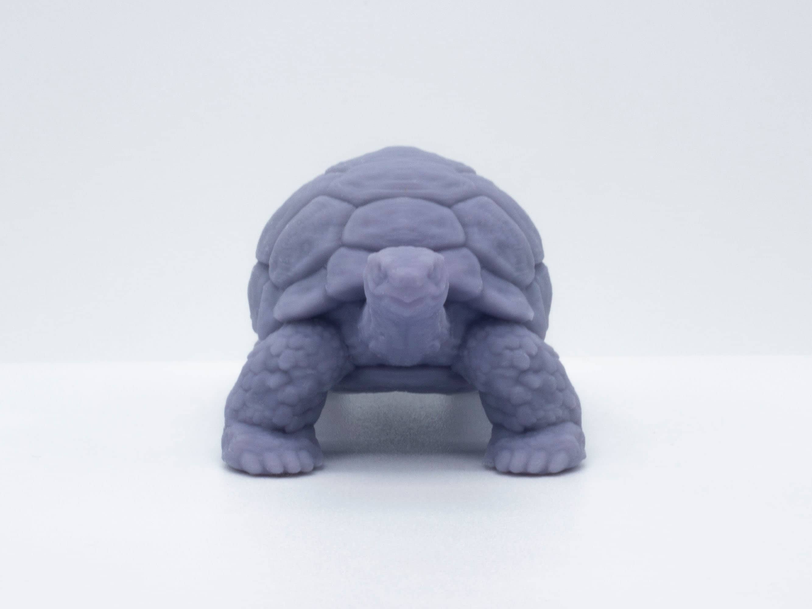 Terry the Terrestrial Tortoise Miniature Tabletop | Etsy