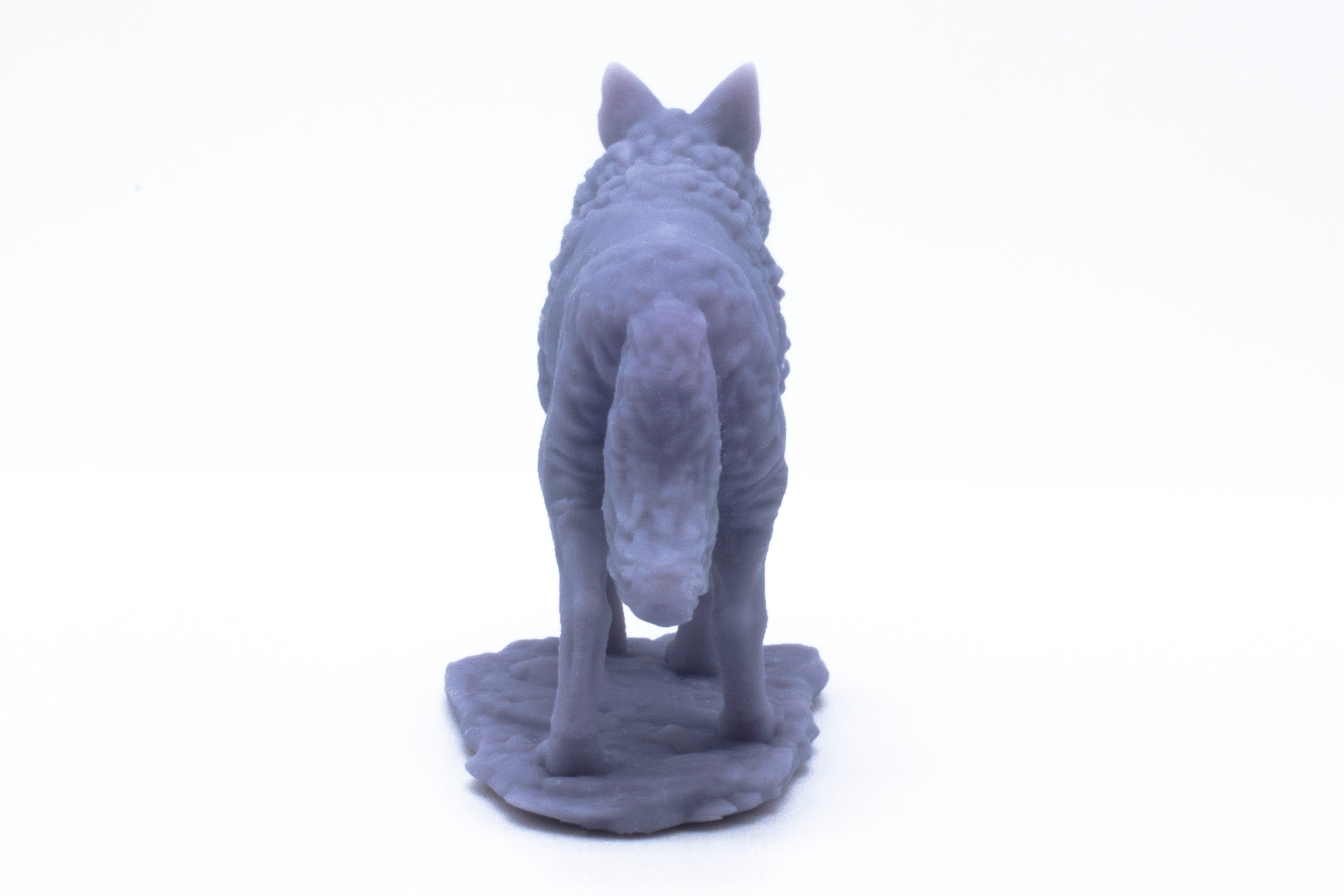 Inquisitive Wolf Miniature DND Tabletop - Etsy