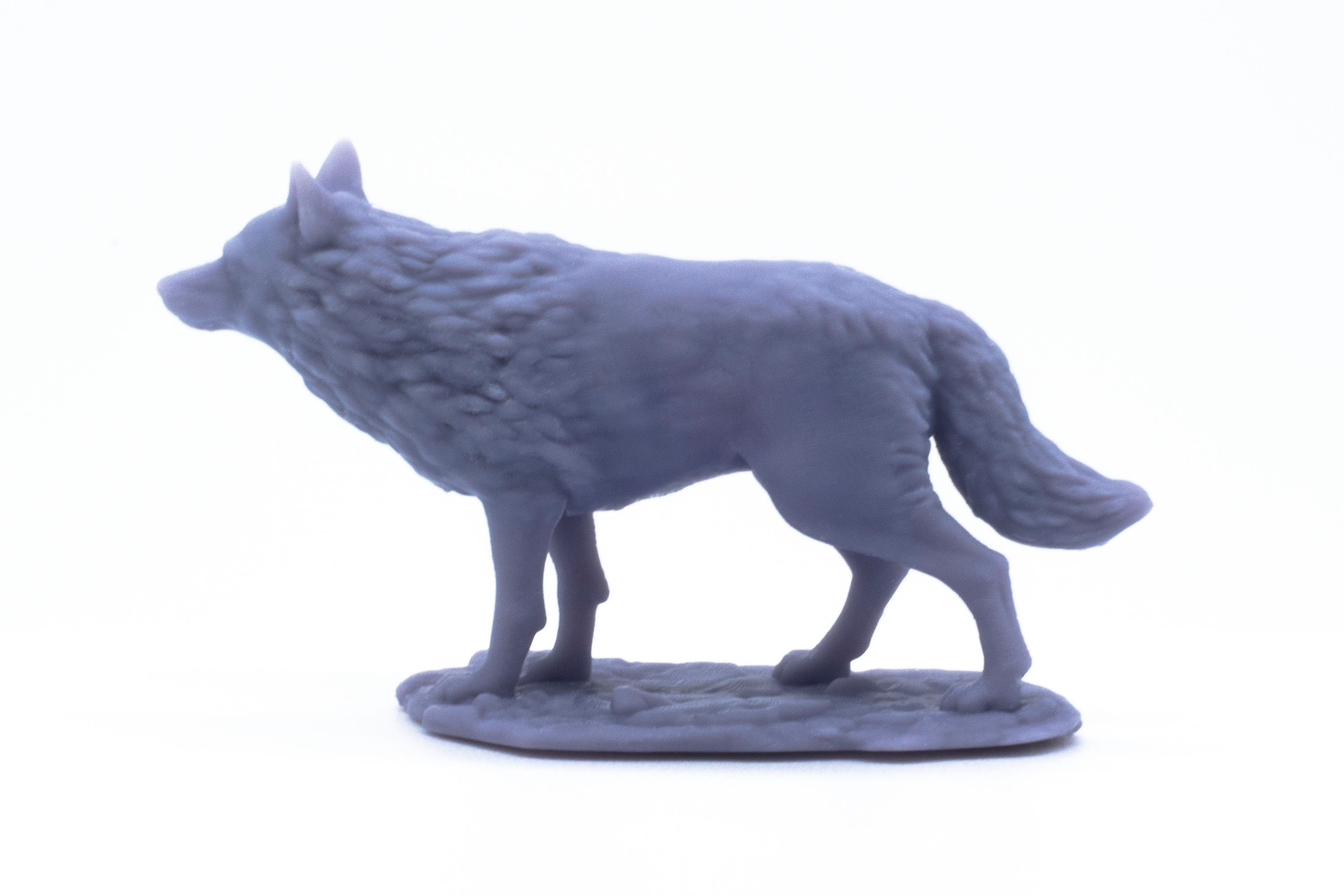 Inquisitive Wolf Miniature DND Tabletop - Etsy