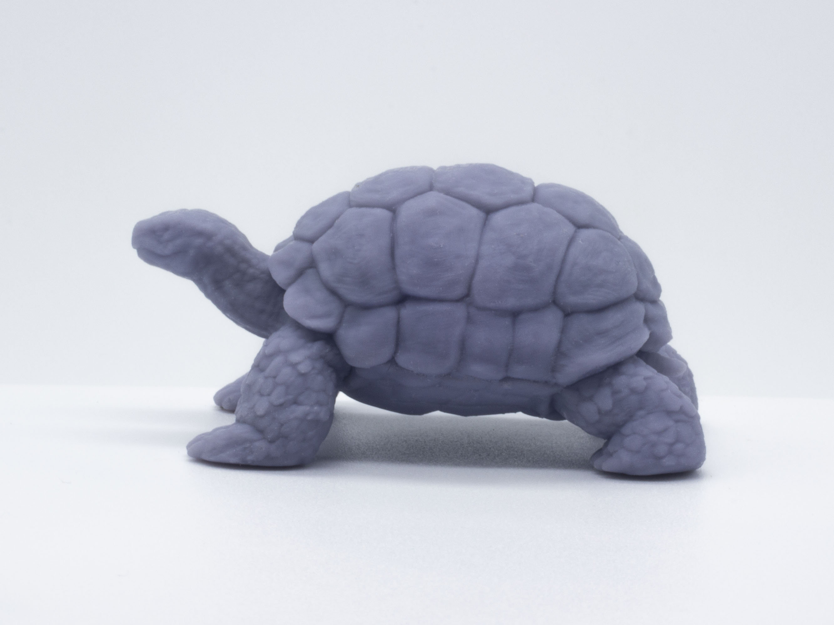 Terry the Terrestrial Tortoise Miniature Tabletop | Etsy