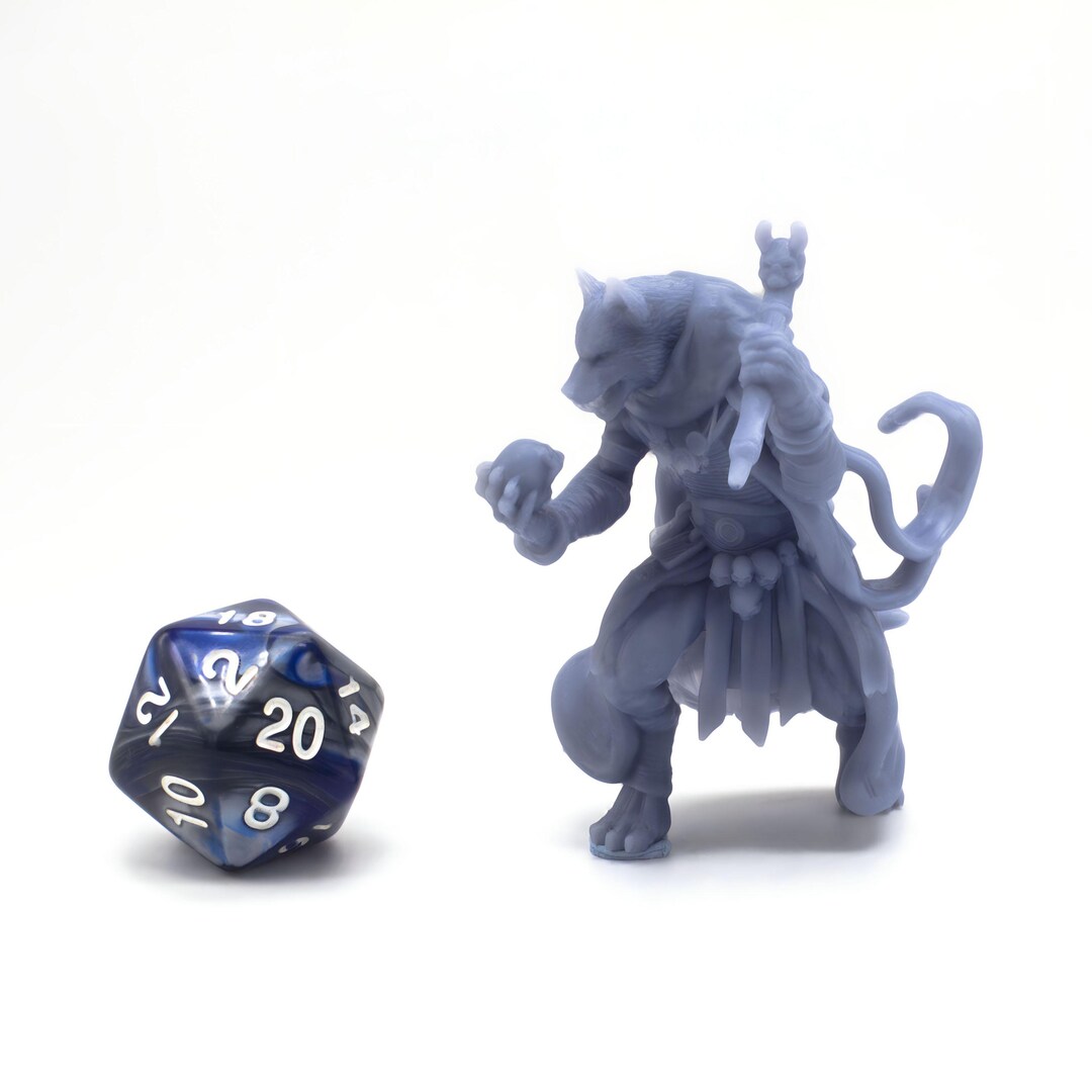 Coyote Necromancer - Miniature - DND - Tabletop - Etsy
